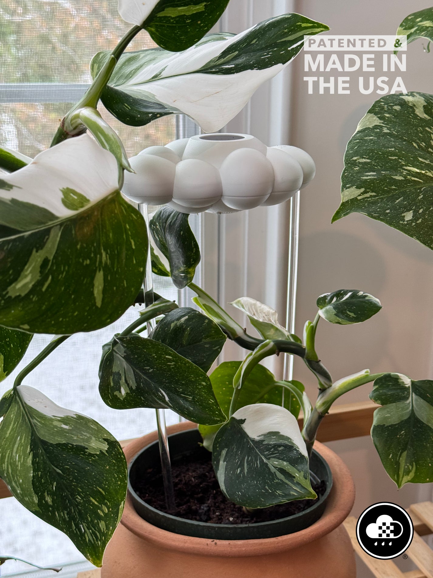 Original Dripping Rain Cloud – The Cloud Makers