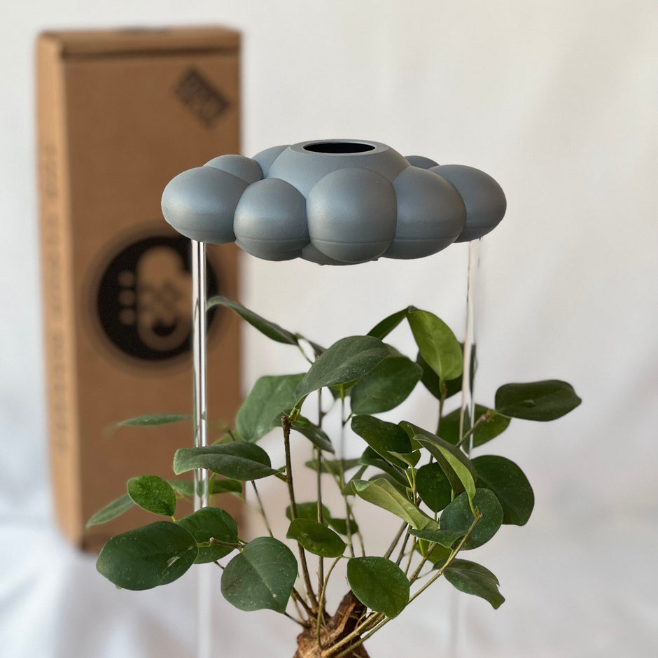 The Original Dripping Rain Cloud | Only from The Cloud Makers