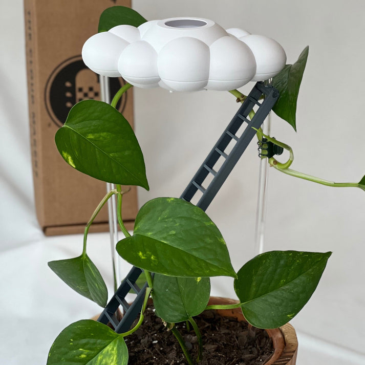 Original Dripping Rain Cloud with Ladder Charm – The Cloud Makers