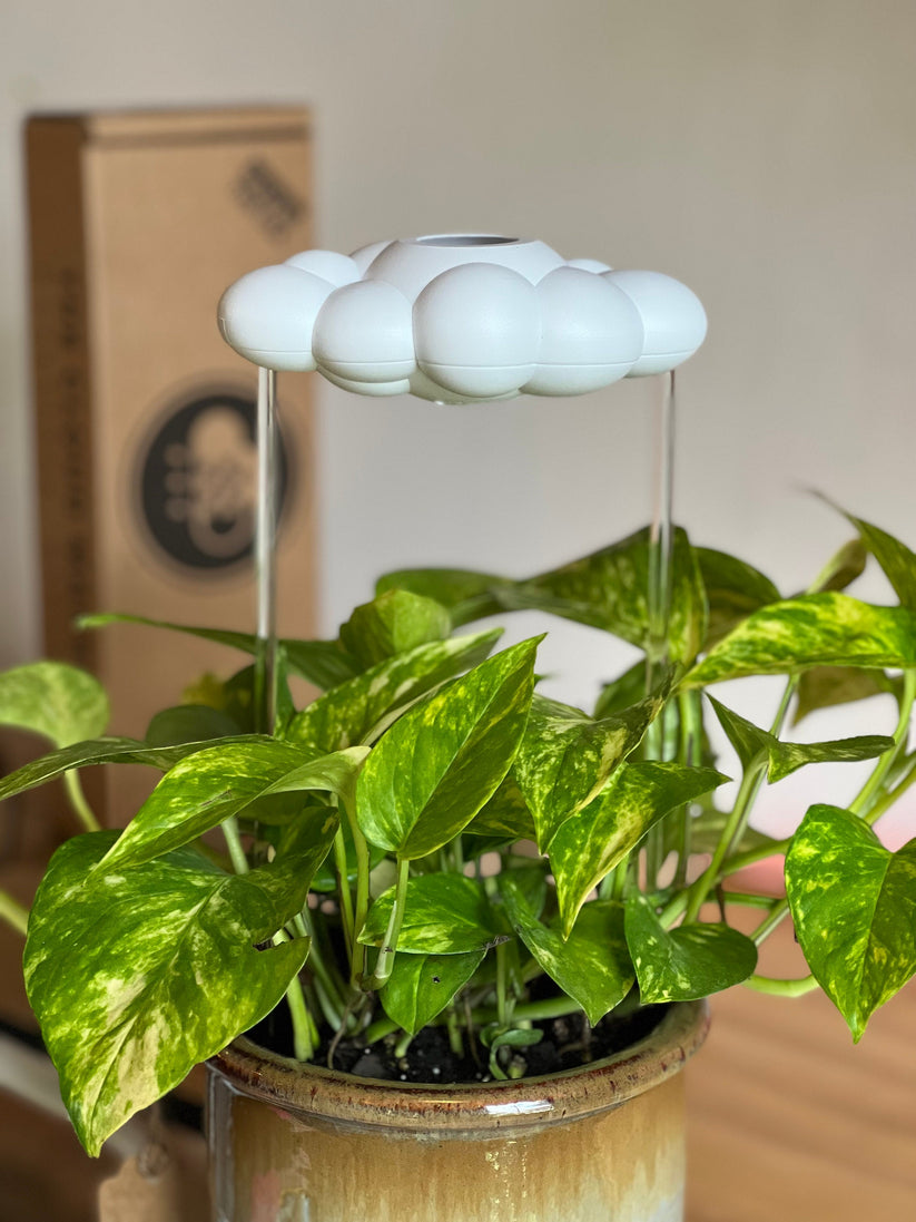 Original Dripping Rain Cloud – The Cloud Makers